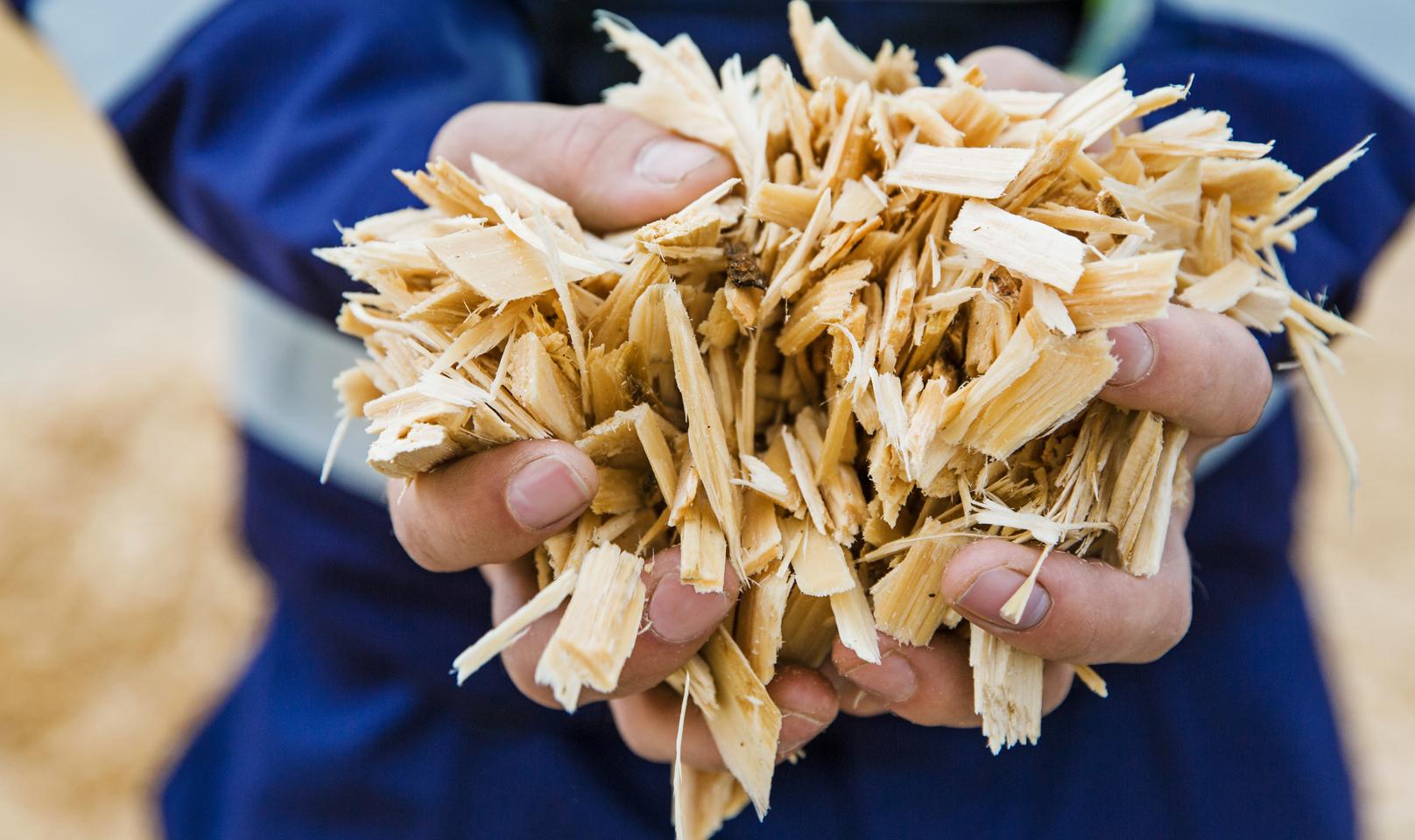 There are alternatives to fossil raw materials – a determined research ...